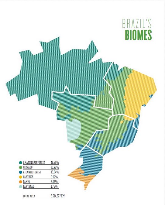 Portal Apex-Brasil | DISCOVER BRAZIL